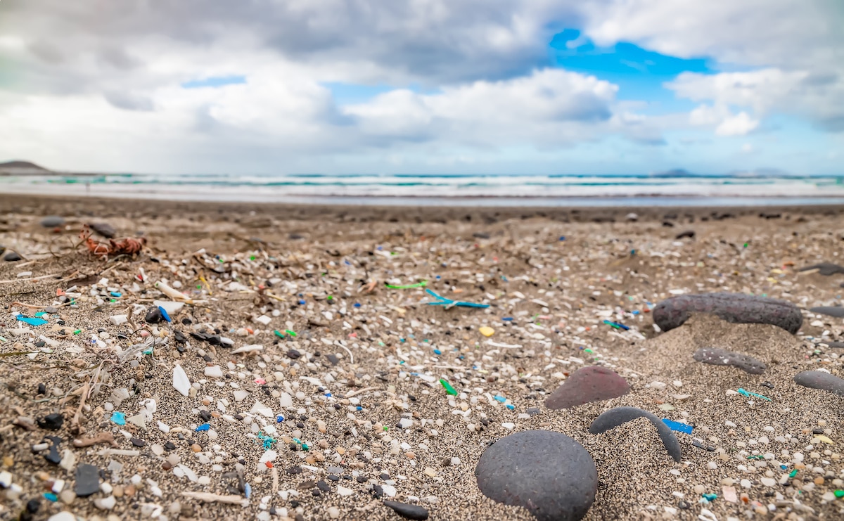 Fighting microplastics one beach at a time with Deakin - Inside Water