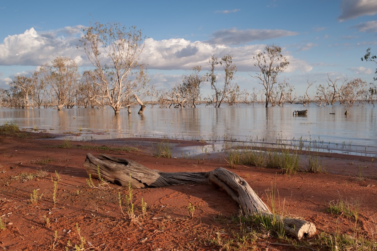 Working together to manage water quality in Menindee Lakes - Inside Water