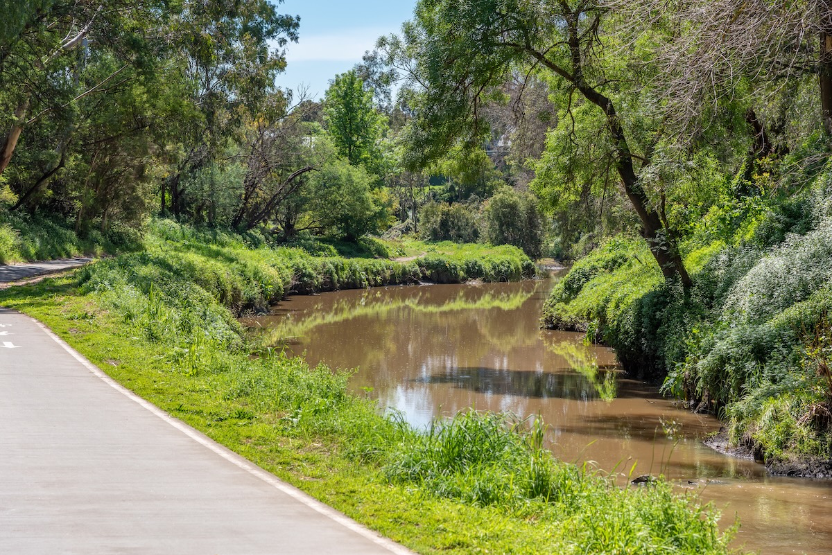 More money for Merri Creek regeneration - Inside Water