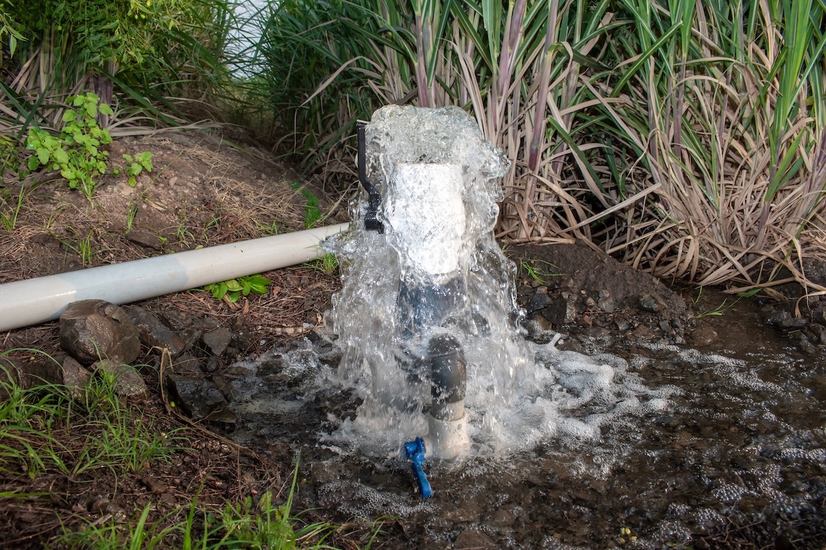 Automated flushing devices to support Gippsland servicing - Inside Water