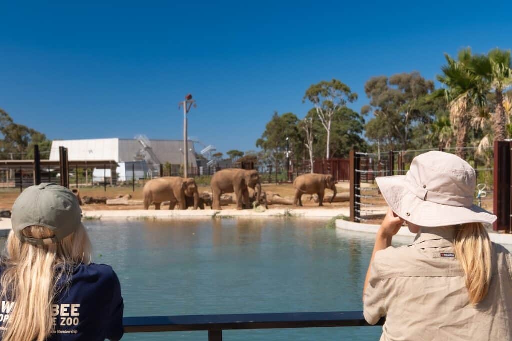 Greater Western Water delivers recycled water for zoos - Inside Water