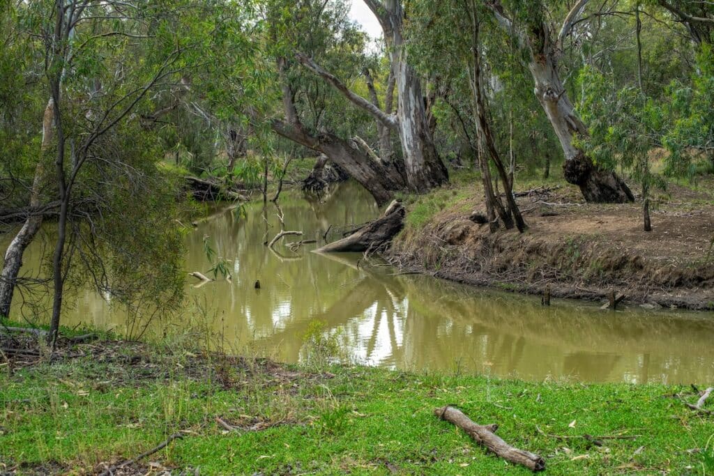 Community invited to shape NSW floodplain plans - Inside Water