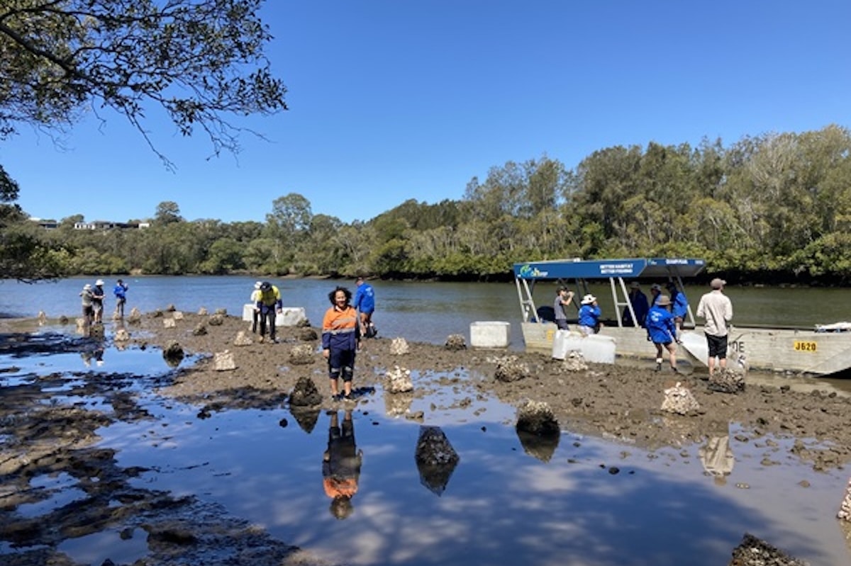 How the Unitywater shellfish reef trial is cleaning local waterways ...