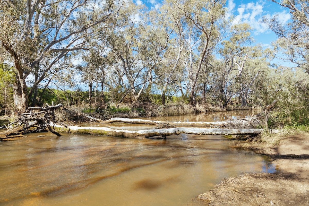 Southern Basin community funding boosts resilience and local jobs ...