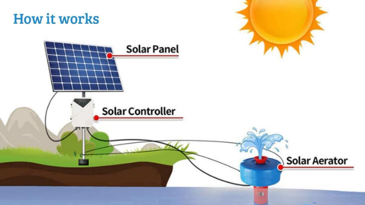 Solar lagoon aeration offers a path to major methane cuts - Inside Water