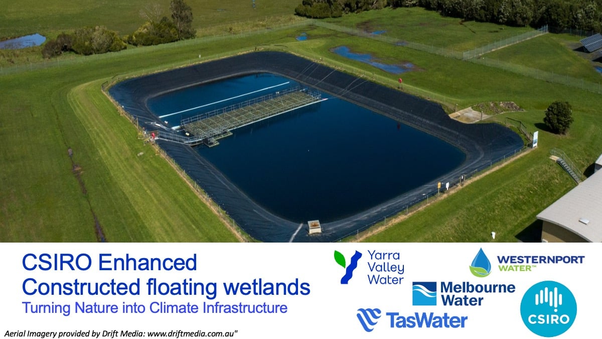 Can engineered wetlands finally tackle PFAS and microplastics? - Inside ...