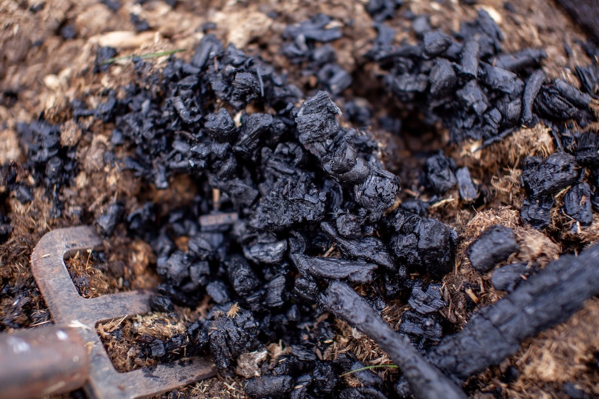 Sewage sludge pyrocarbonisation targets biochar, carbon credits ...