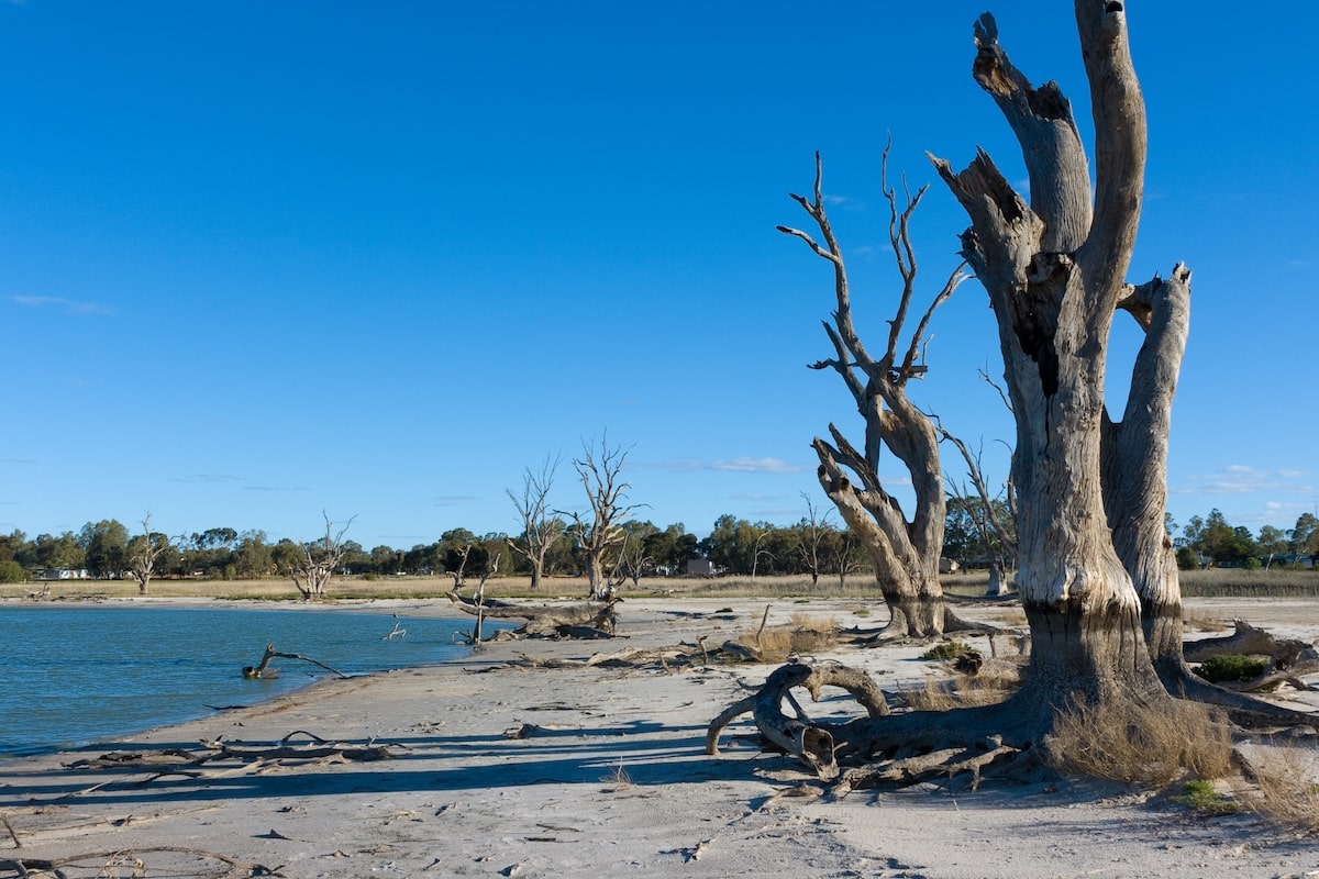 The Basin Plan review to test water limits against climate change ...